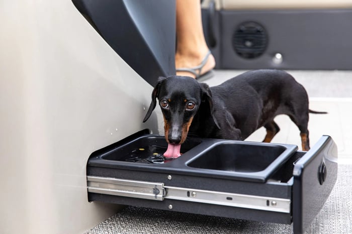What is a Bilge Pump and How Does it Work? (Info Every Boater Needs to ...