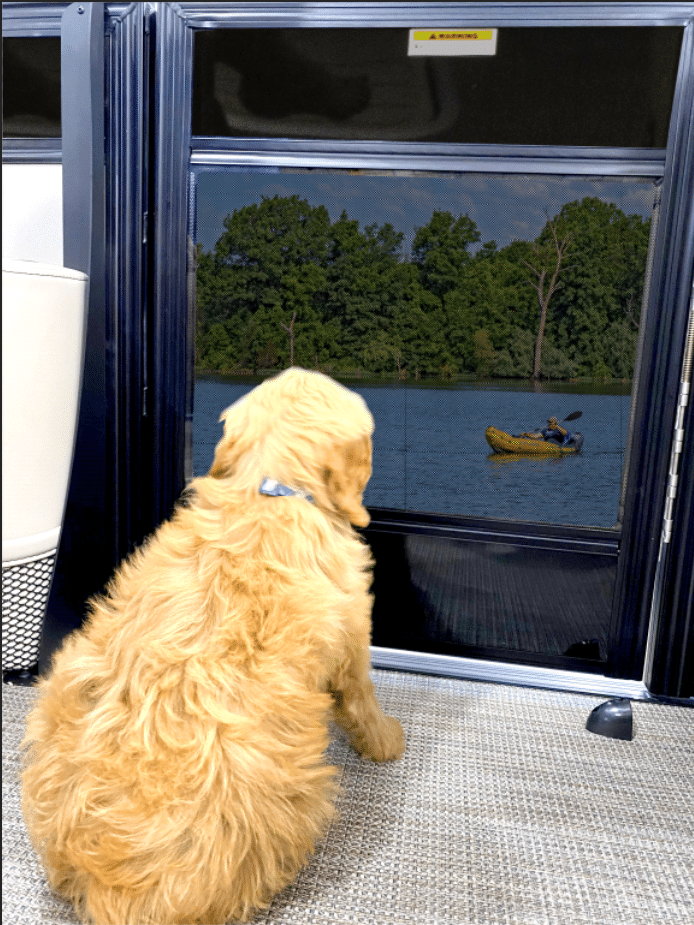 Pet Friendly | Barletta Pontoon Boats